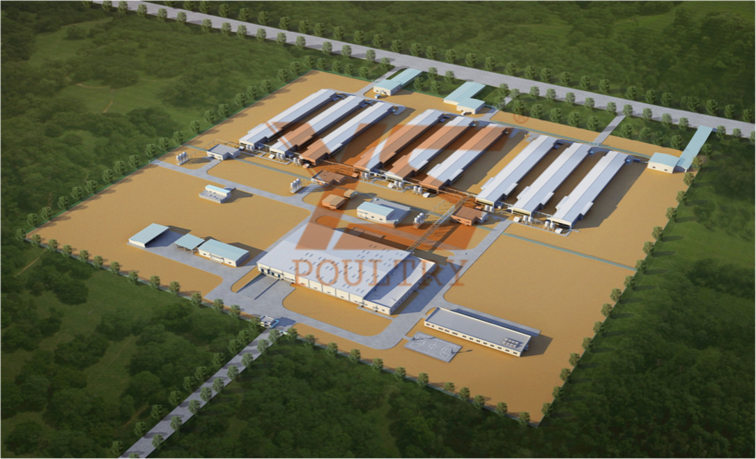 YISHUN│Poultry Equipments