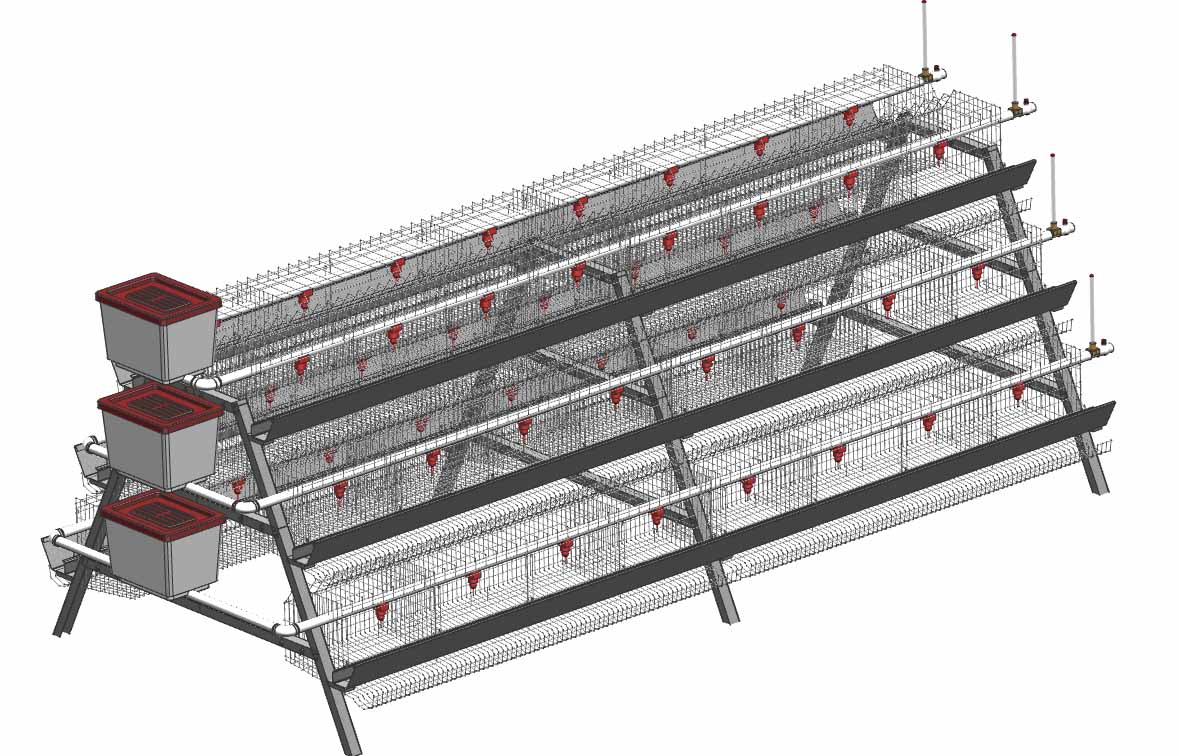 Layer Cage,Layer Chicken Equipments